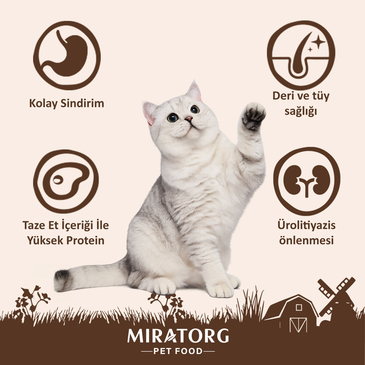 Miratorg Kitten Gravy Tavuk Etli Yavru Kedi Yaş Maması 80 Gr x 24 Adet
